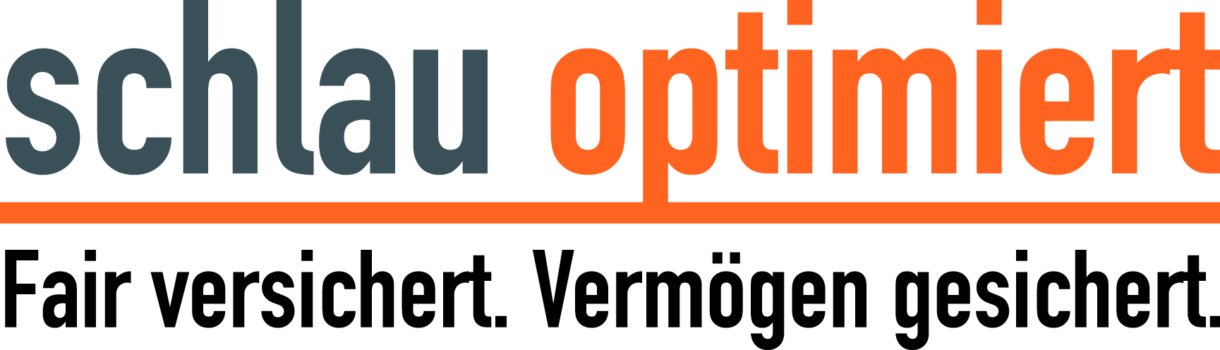 Hier entsteht schon bald die neue Homepage von Schlau Optimiert ...